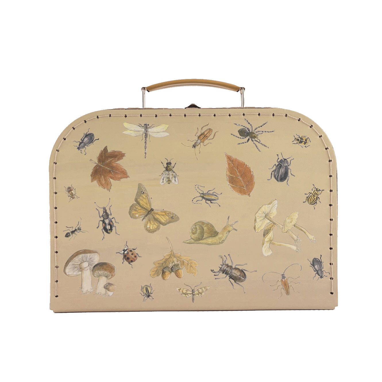 Buy Explorer Kit Online in Australia | Nature Baby